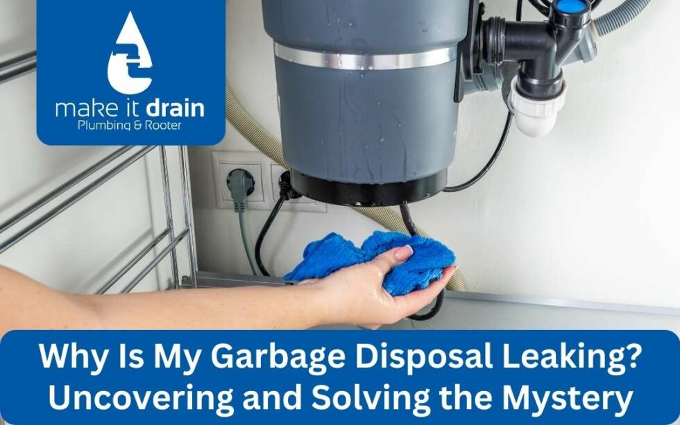 Why Is My Garbage Disposal Leaking? Uncovering and Solving the Mystery ...
